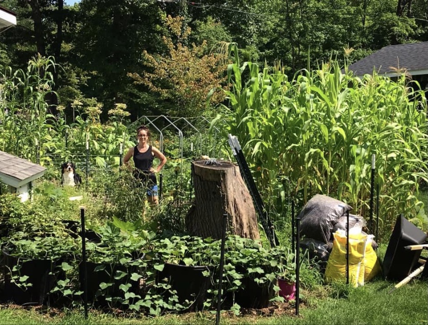 The Evolving Homestead: Where We Started and Where We Head – RewilderLife