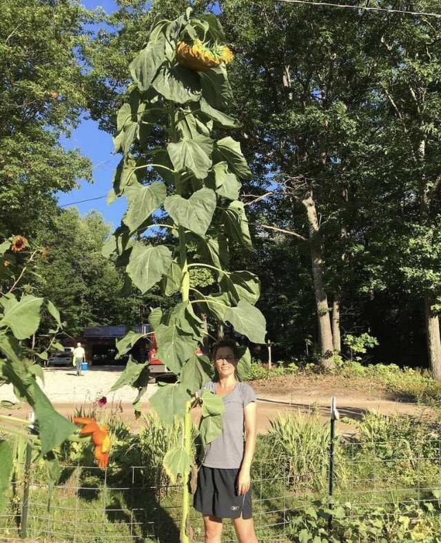 The Evolving Homestead: Where We Started and Where We Head – RewilderLife